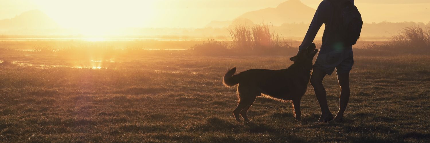 15 Inspiring Animal Quotes: Inspirational Quotes For Animal Lovers ...